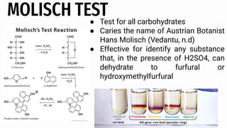 MOLISCH TEST.pdf