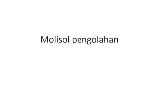Pengolahan Tanah Molisol dan Tanah Spodosol | PPT