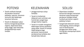 Pengolahan Tanah Molisol dan Tanah Spodosol | PPT