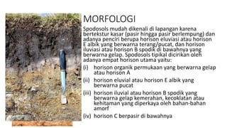 Pengolahan Tanah Molisol dan Tanah Spodosol | PPT