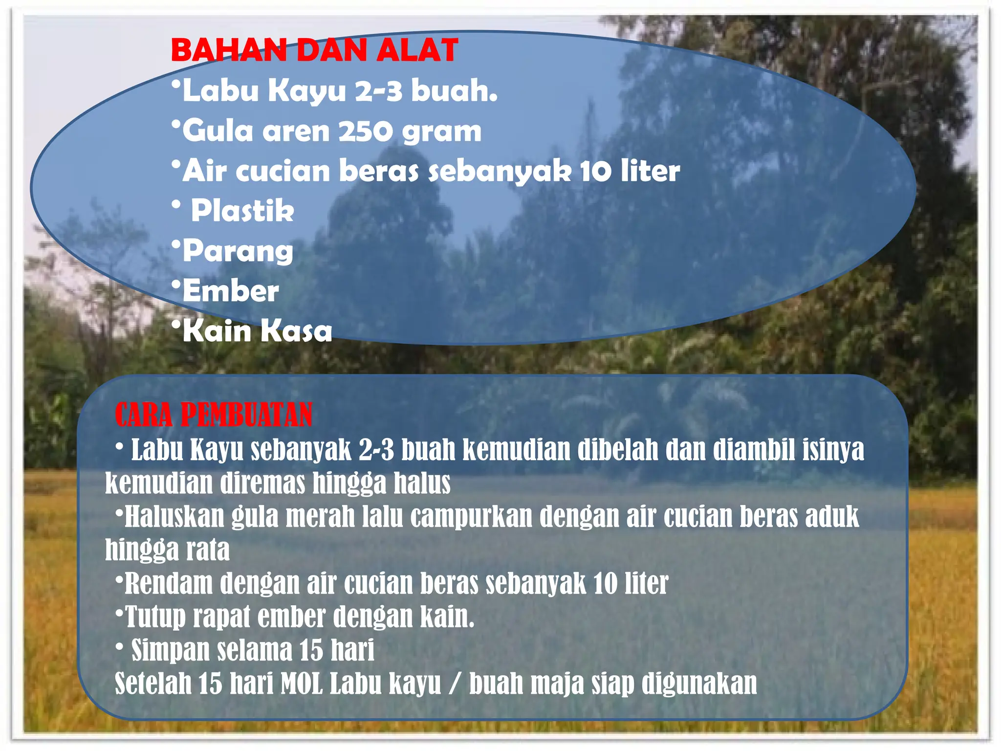 MIKROORGANISME LOKAL (MOL) LABU KAYU SEBAGAI PUPUK CAIR | PPTX