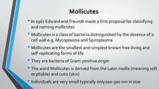 Mollicutes | PPT
