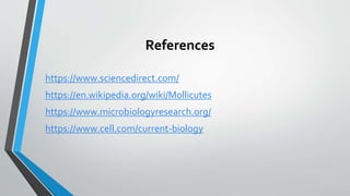 Mollicutes | PPT