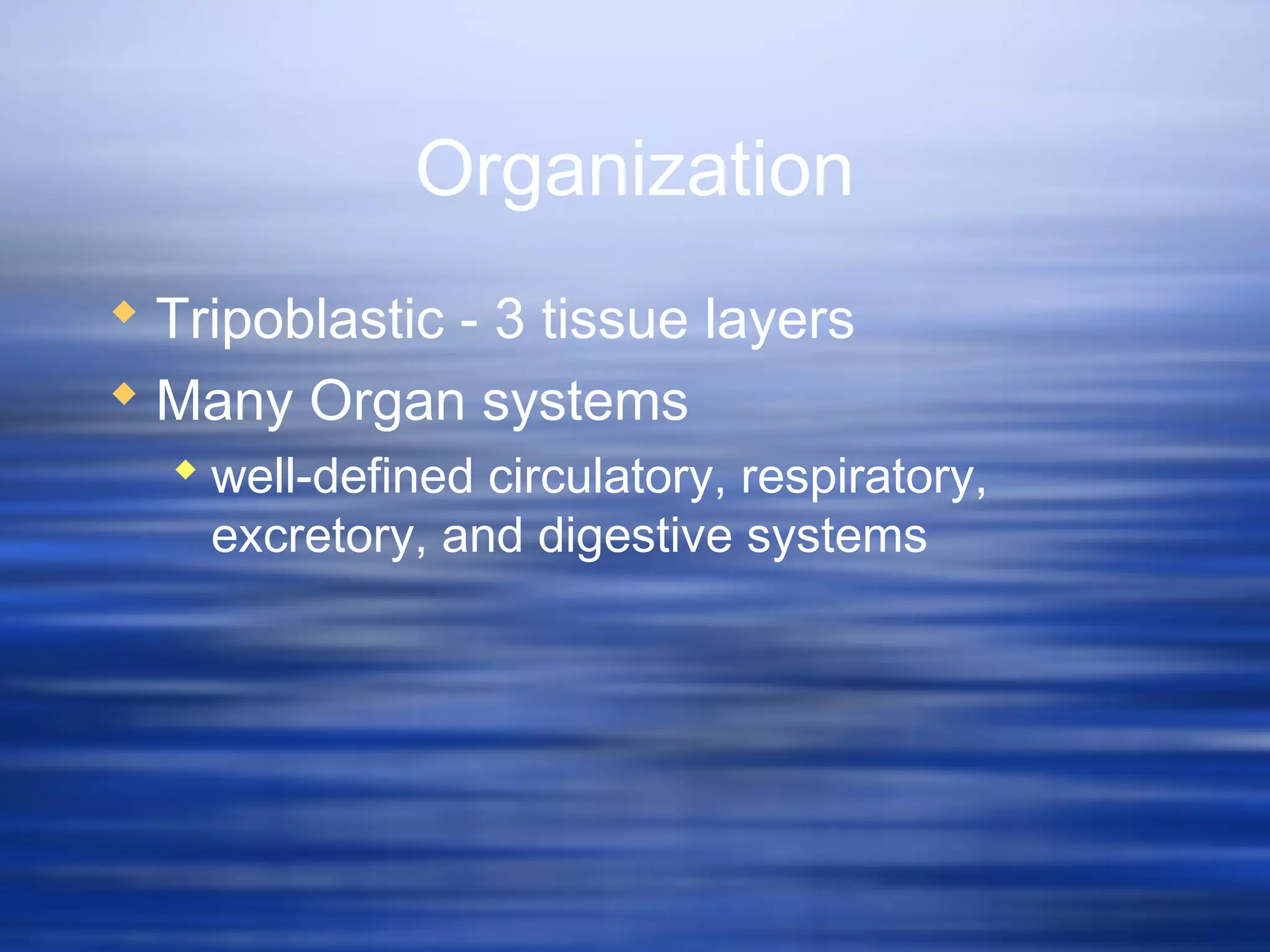 Mollusca Notes | PPT