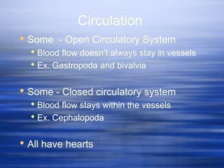 Mollusca Notes | PPT