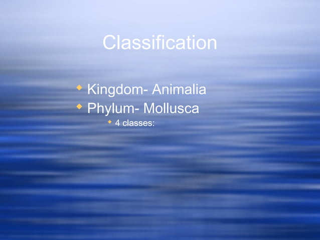 Mollusca Notes | PPT