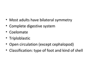 Mollusca | PPT | Zoos & Aquariums | Attractions