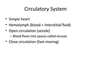 Mollusca | PPT | Zoos & Aquariums | Attractions