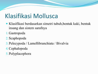 Mollusca | PPTX