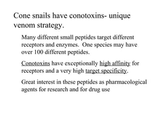 Mollusca | PPT
