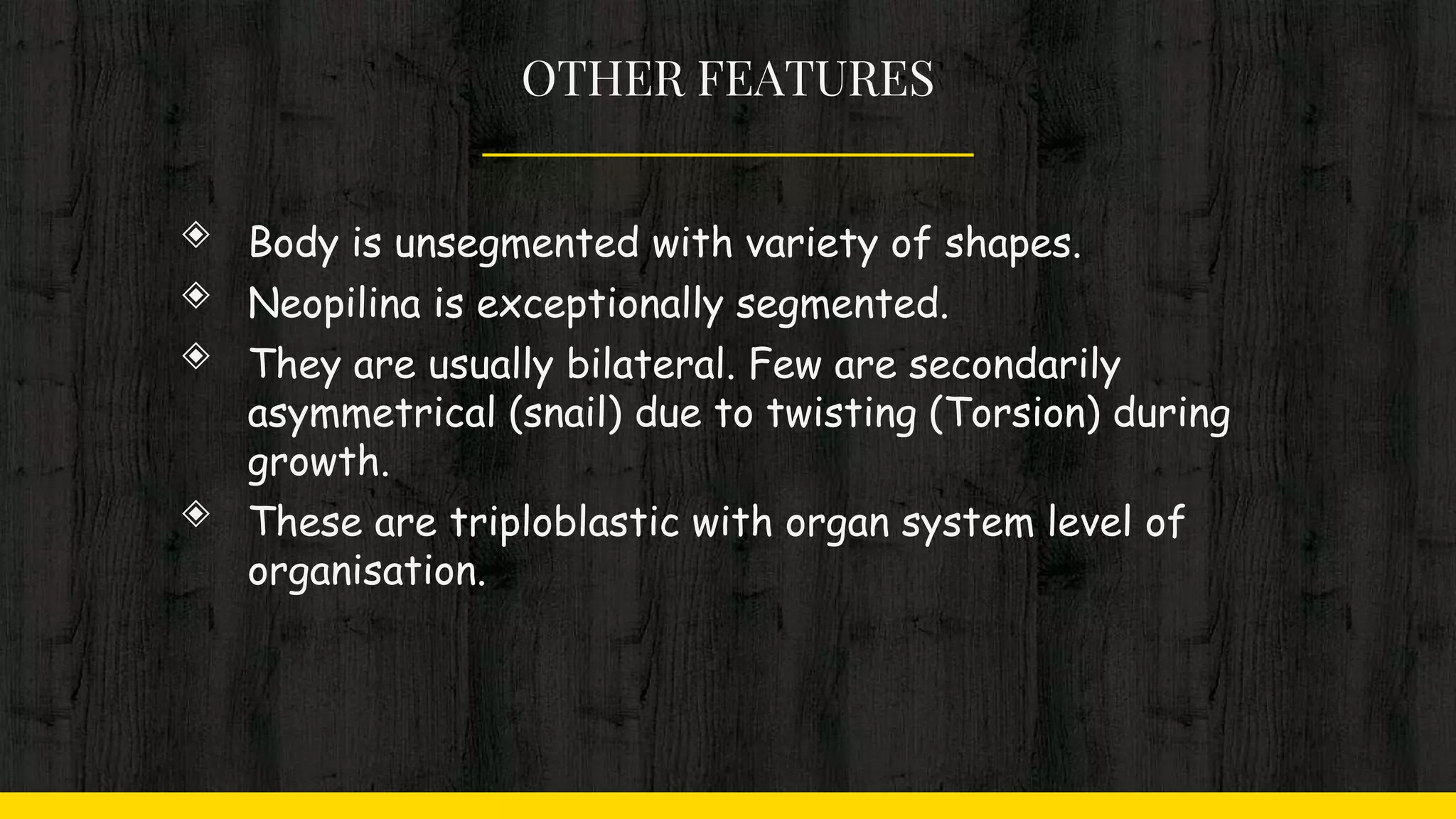 Mollusca | PPTX