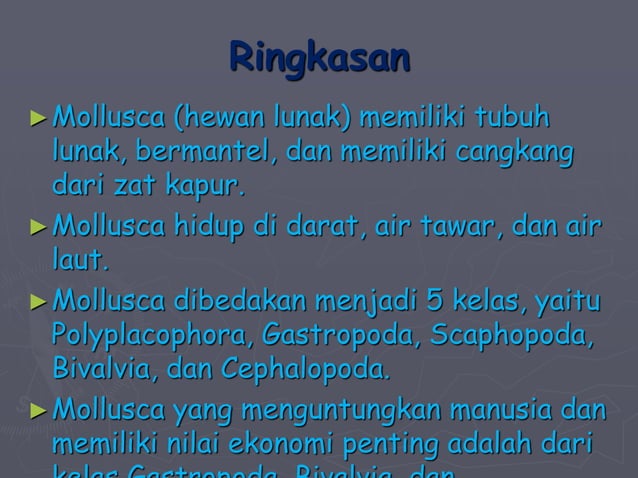mollusca.pptx