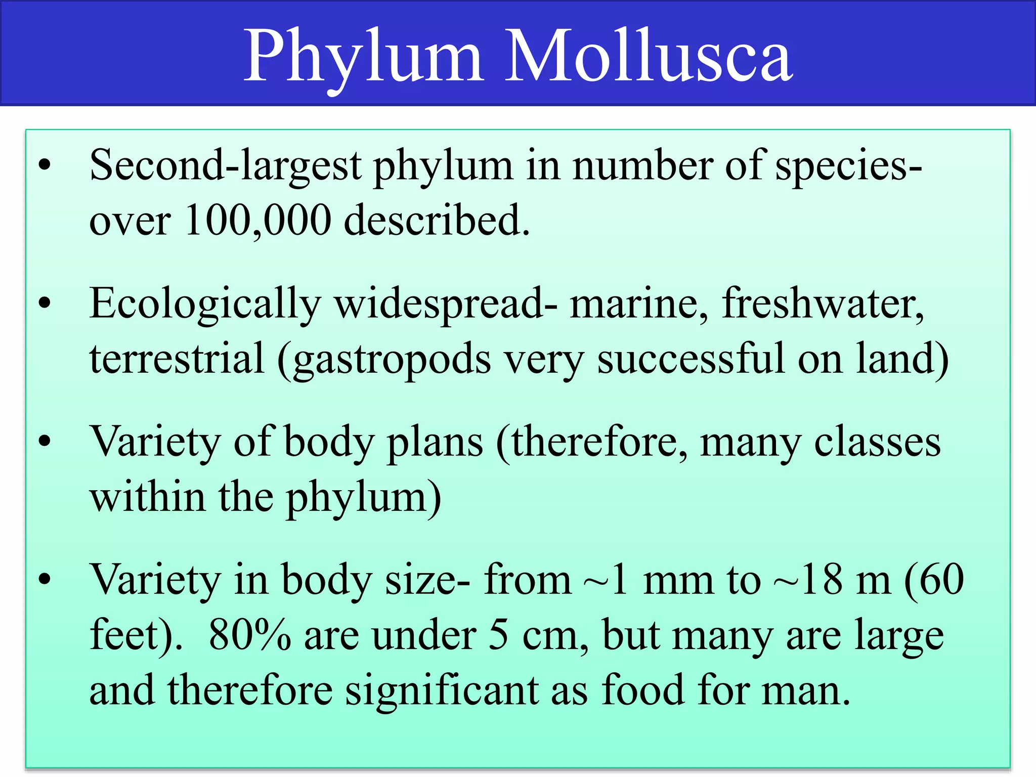 Mollusca.pptx