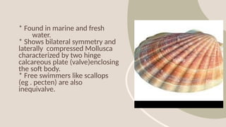 mollusca.pptx made by central university students | PPT