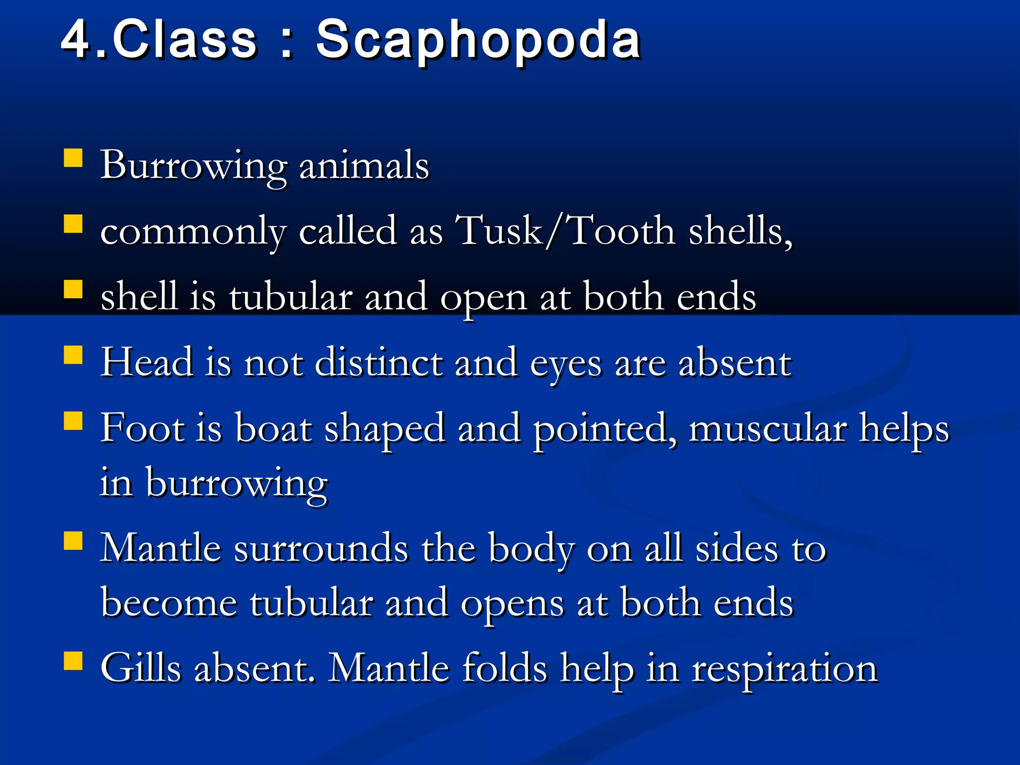Mollusca general characters and classification | PPT