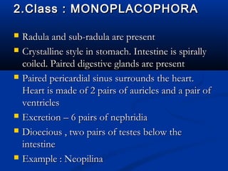 Mollusca general characters and classification | PPT