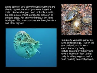 Mollusca Presentation | PPT | Lung and Respiratory Health | Diseases ...