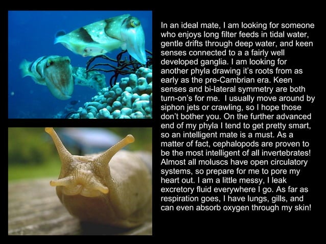 Mollusca Presentation | PPT | Lung and Respiratory Health | Diseases ...