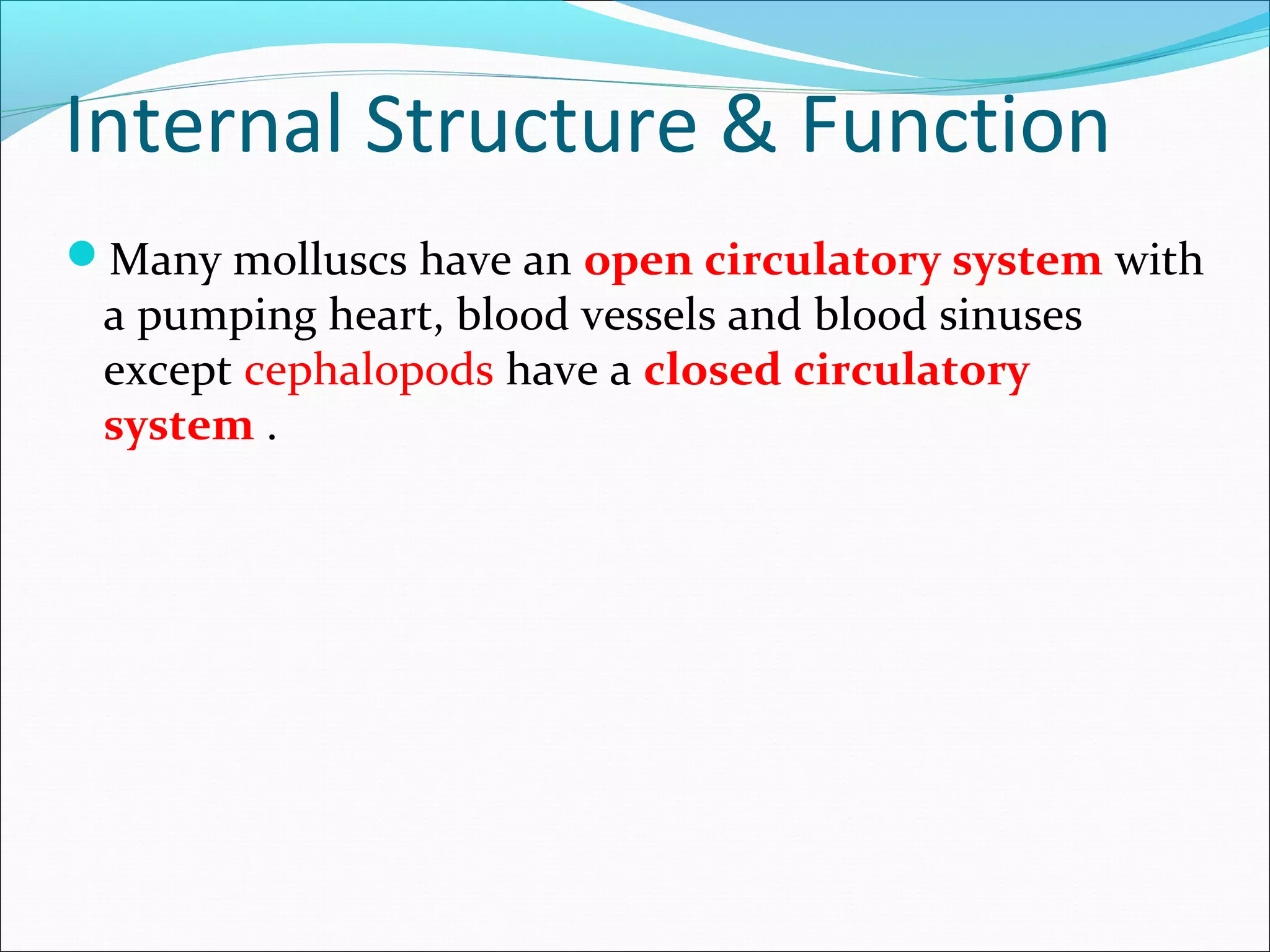 Mollusca, bivalvia modified geology | PPT