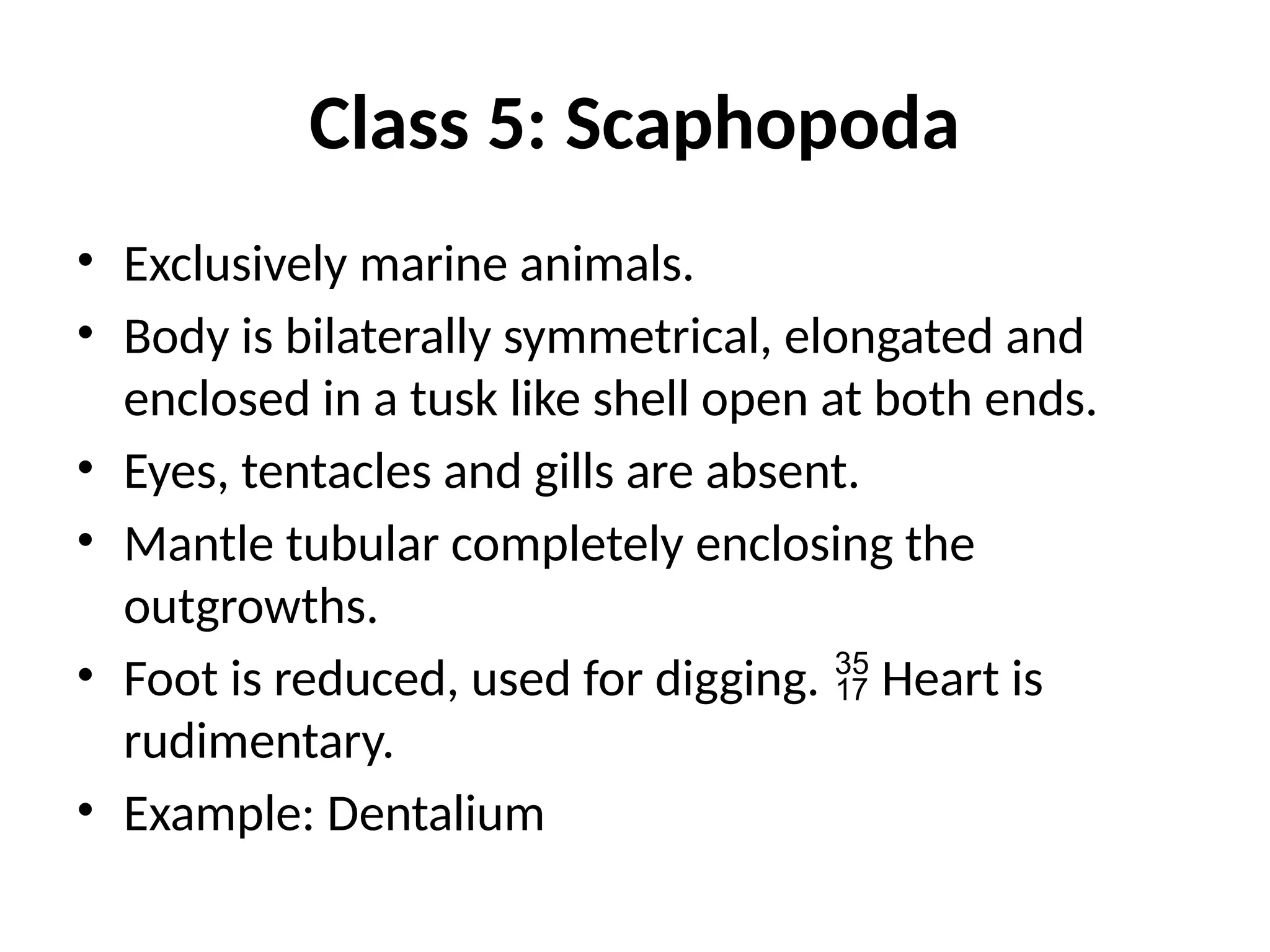 Mollusca Classification upto Class Level | PPTX