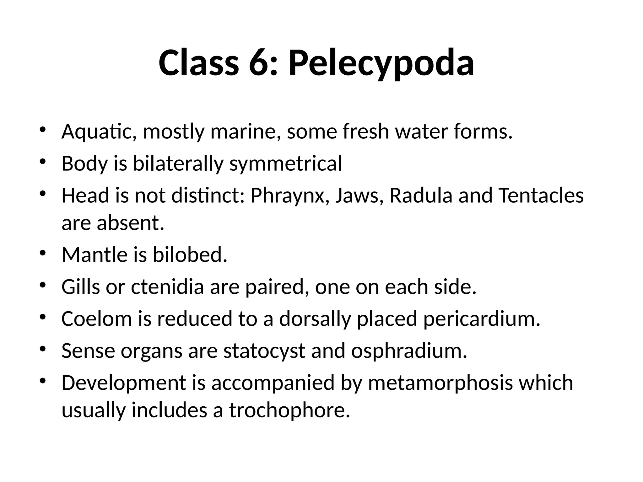 Mollusca Classification upto Class Level | PPTX