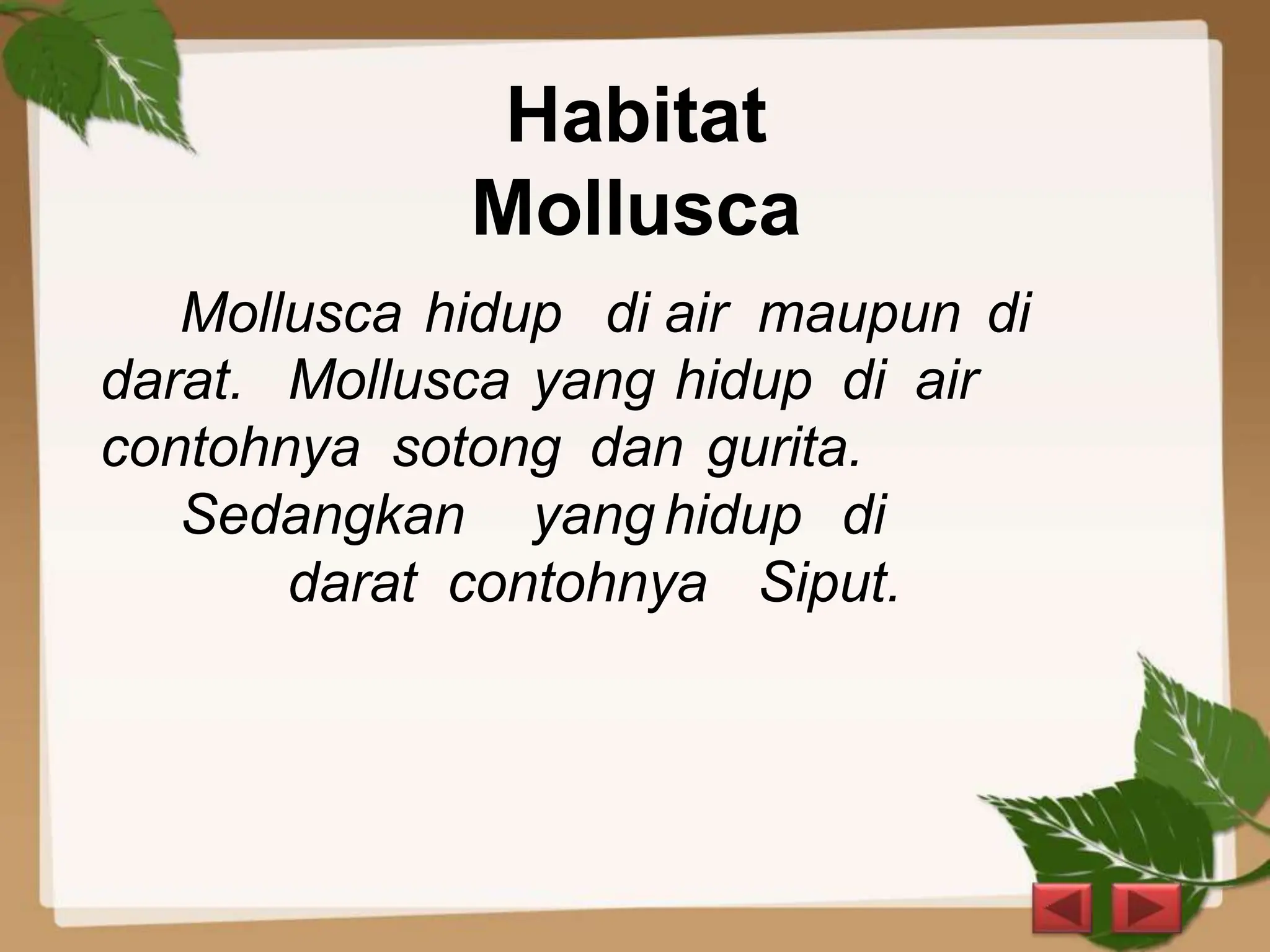 mollusca dan arthropoda biologi kelas 10 | PPT