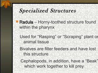 Mollusca dunia hewan | PPT