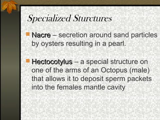 Mollusca dunia hewan | PPT