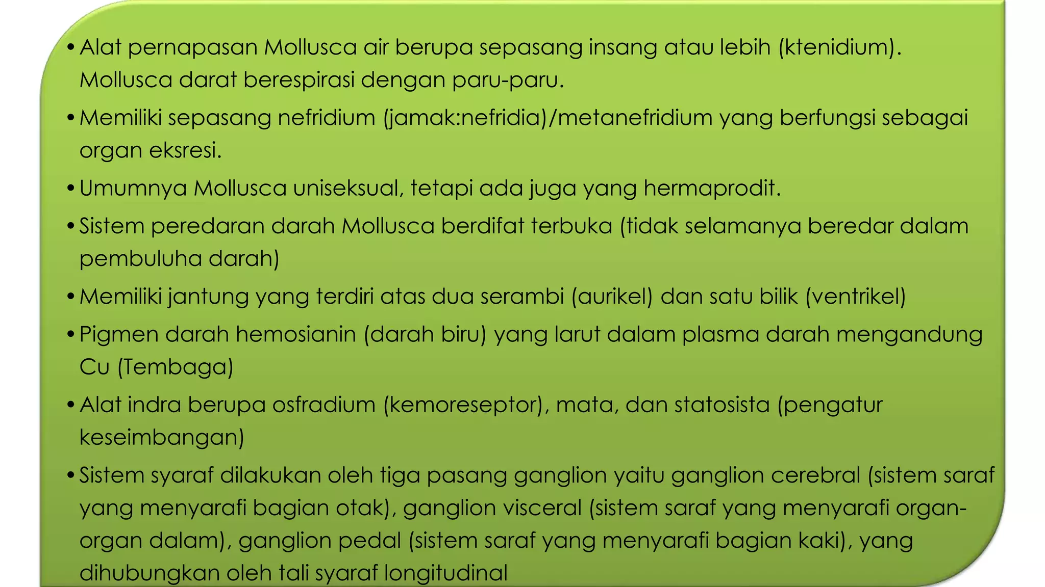 Mollusca Kelompok 2 | PPTX