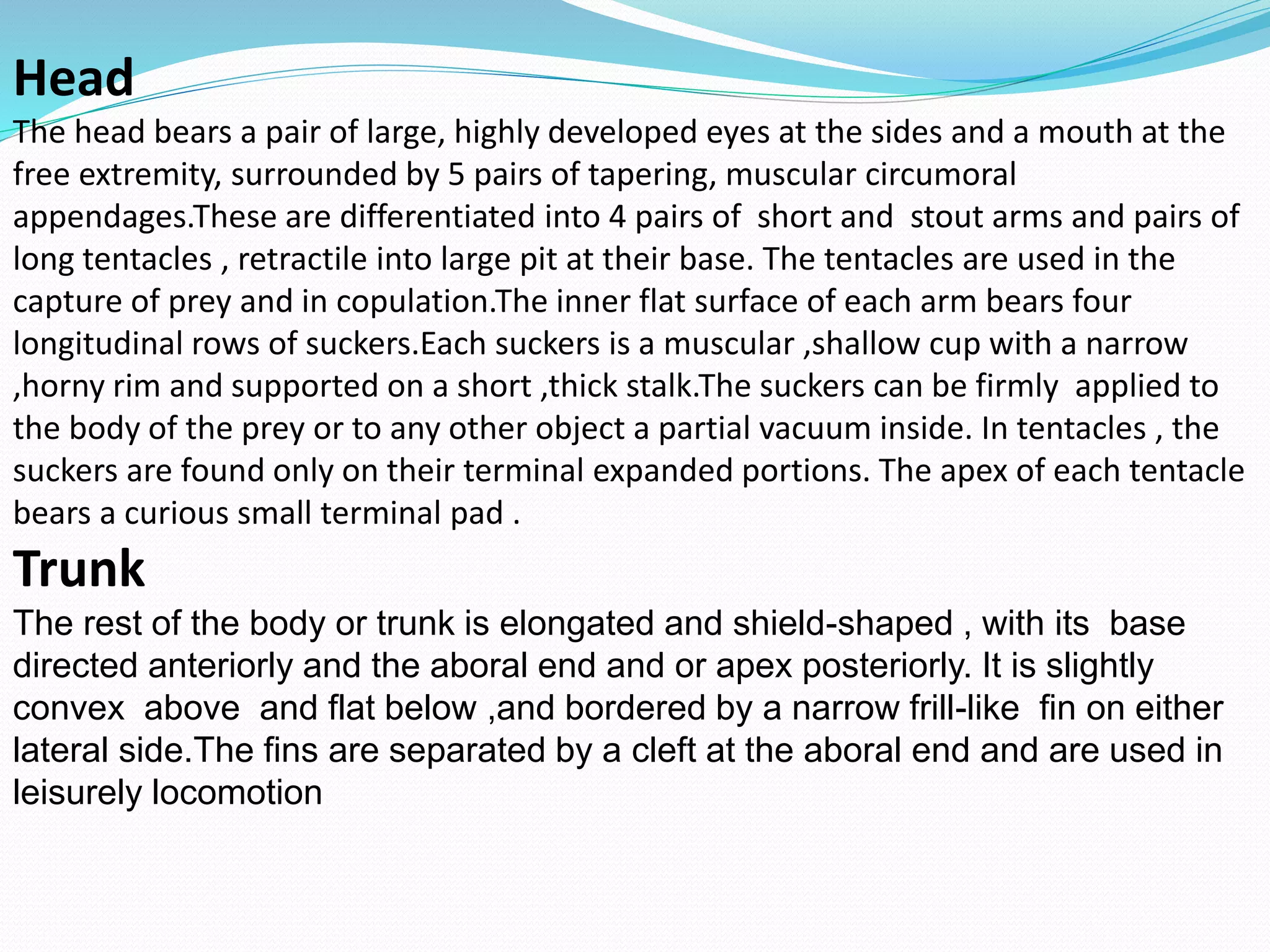 Clear Concept in Phylum Mollusca | PPTX