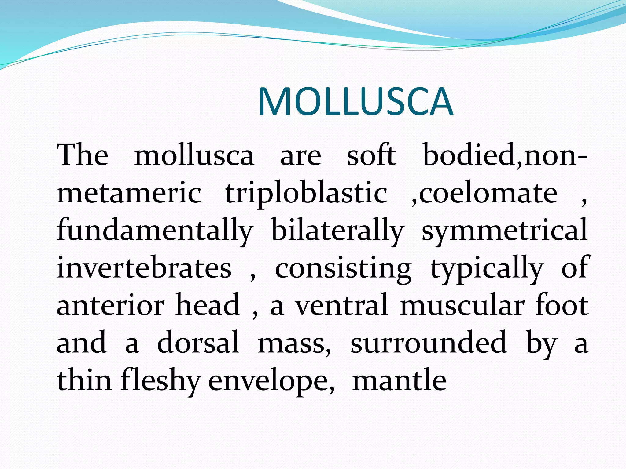 MOLLUSCA: Soft-Bodied Invertebrates | PPT