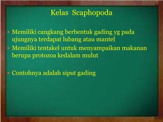 BIOLOGI : MOLLUSCA | PPTX