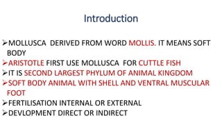 LARVAL FORMS OF MOLLUSCA.pptx