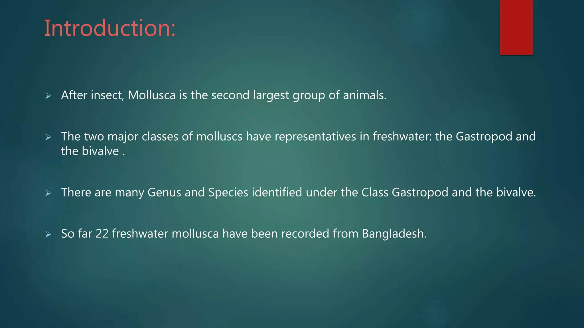 Molluscan diversity in the river Turag at Tongi, Gazipur, Bangladesh | PPT
