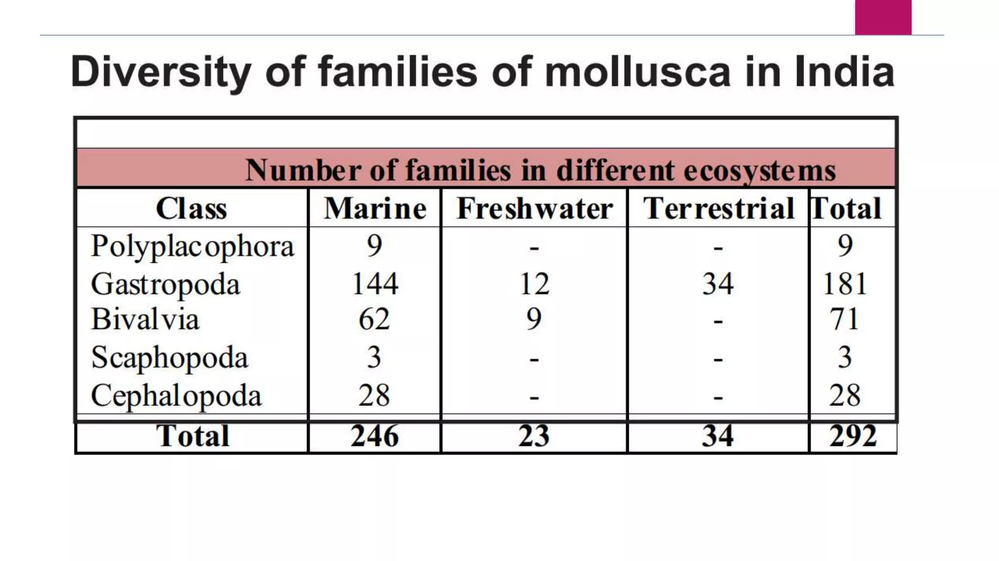 Mollusca of India and need for conservation | PPTX