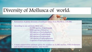 Mollusca of India and need for conservation | PPTX