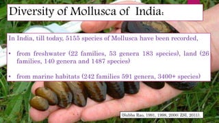 Mollusca of India and need for conservation | PPTX