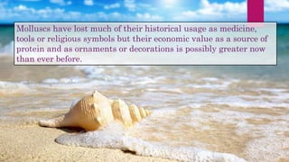 Mollusca of India and need for conservation | PPTX