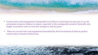 Mollusca of India and need for conservation | PPTX