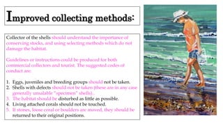 Mollusca of India and need for conservation | PPTX