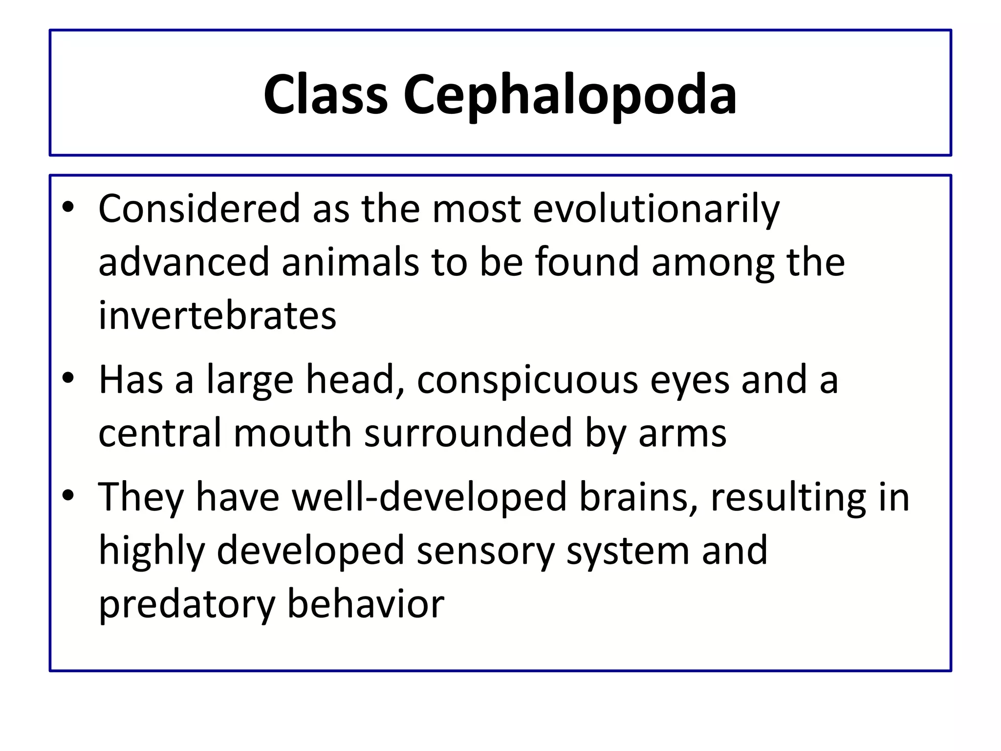 Mollusca vania rolla | PPTX