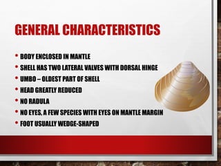 Phylum Mollusca | It's Classes | Characteristics | Features ...