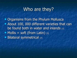 Mollusca yova 10 6 | PPT
