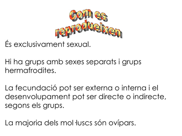Mol·luscs | ODP