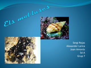 Mol·luscs 5è A | PPTX