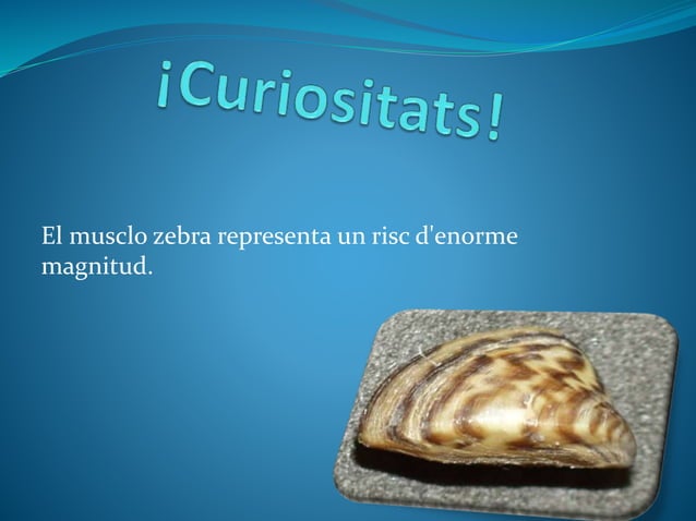 Mol·luscs 5è A | PPTX