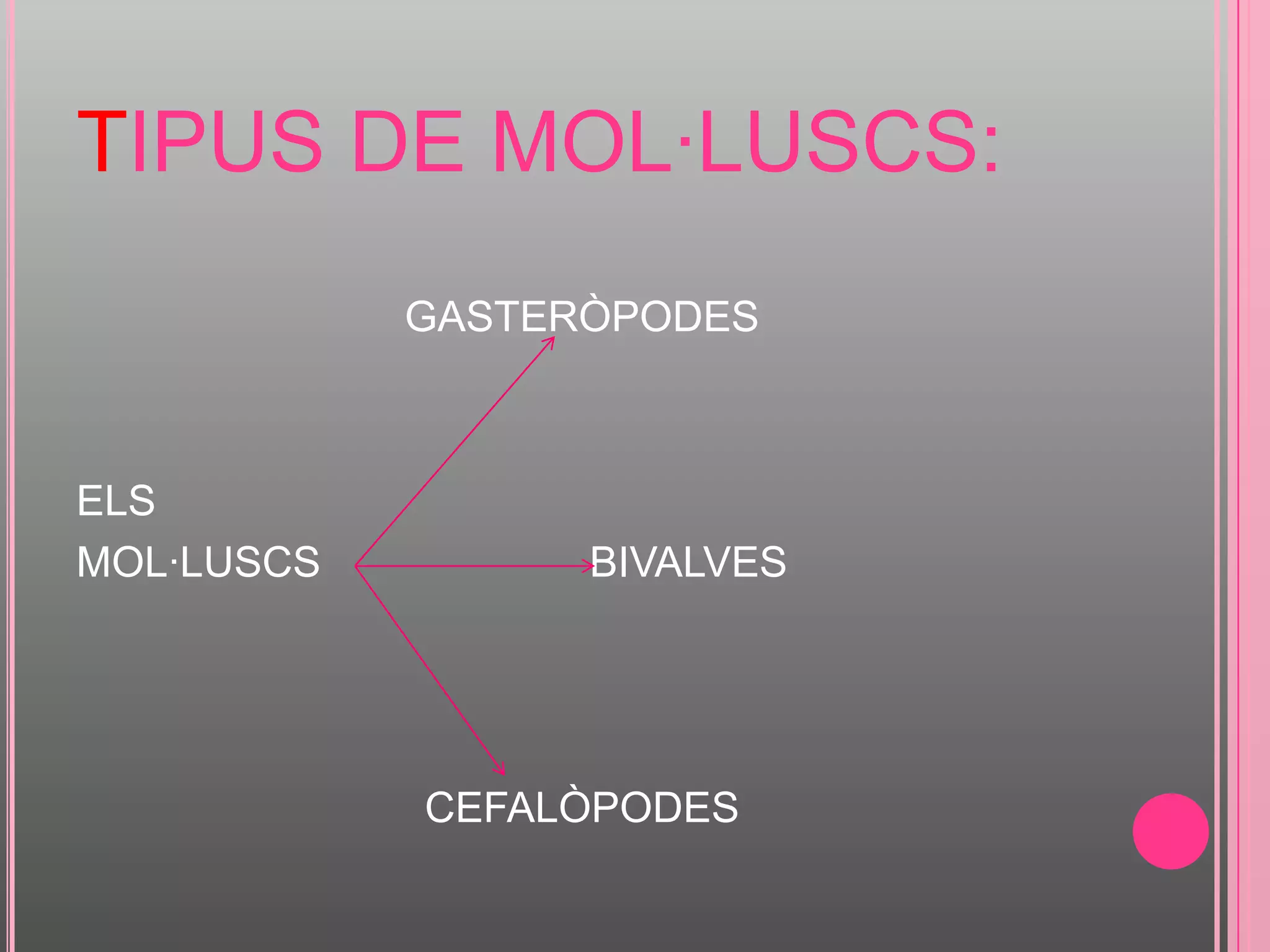 Mol·luscs (ariadna, mariona i paula) | PPTX