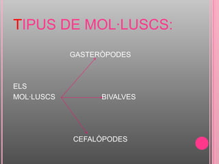 Mol·luscs (ariadna, mariona i paula) | PPTX