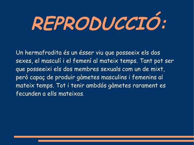 Mol·luscs (edu i xavi) | PPT