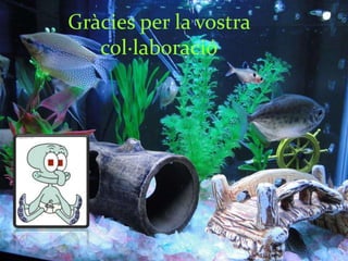 Mol·luscs (marti, raul i ivan) | PPTX